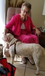 Have a Heart (On Being Worthy of a Dog) – findingjubilee